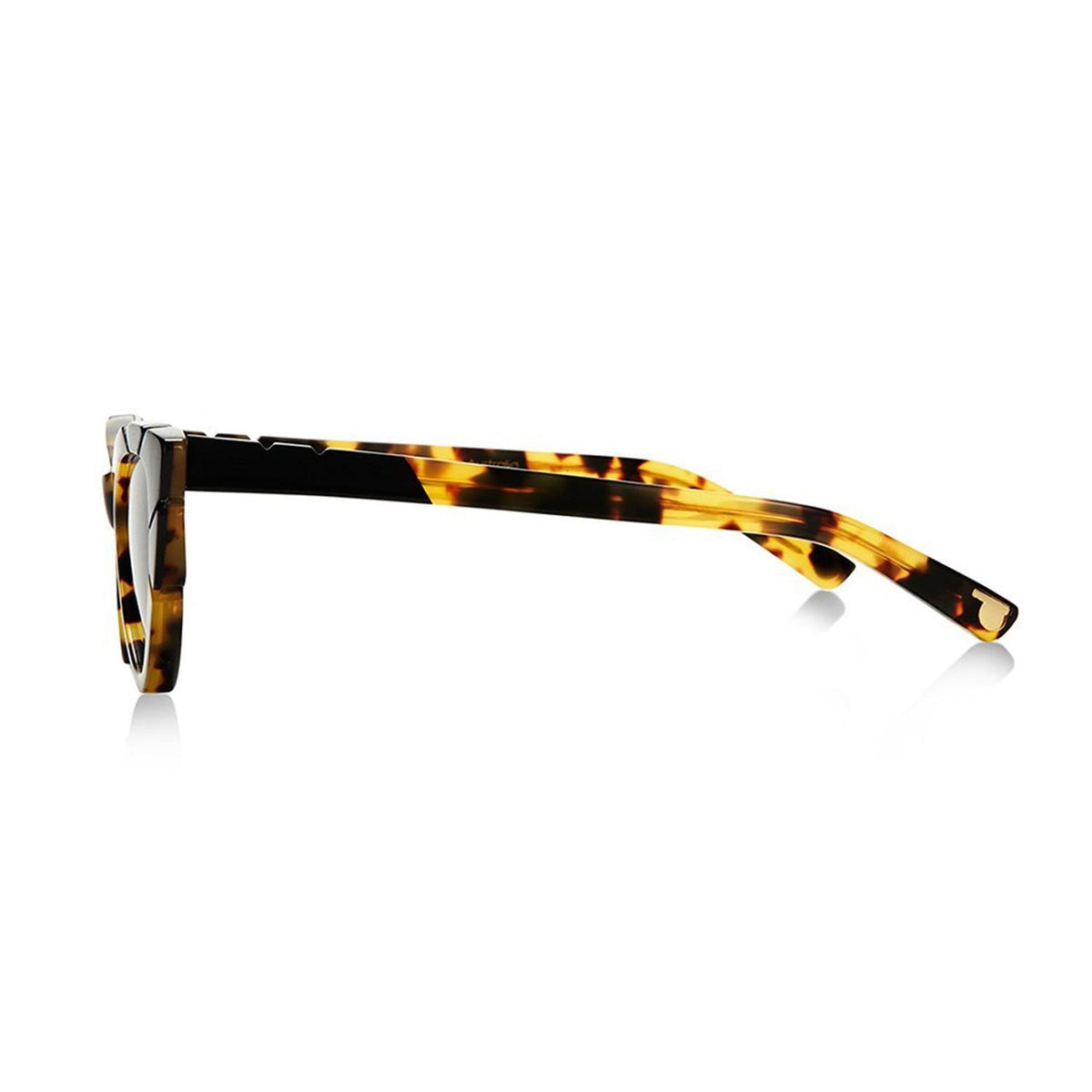 Pared Eyewear | Piccolo & Grande | Dark Tortoise Black Sunglasses ...