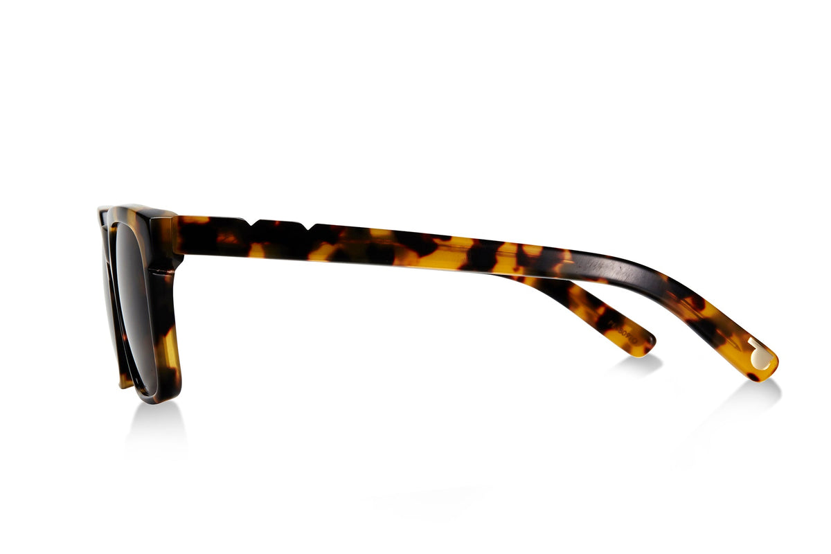 Pared Eyewear | Young & Old | Dark Tortoise Sunglasses | Shade Files